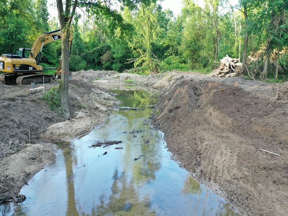 Peters Creek | North State Enviromental