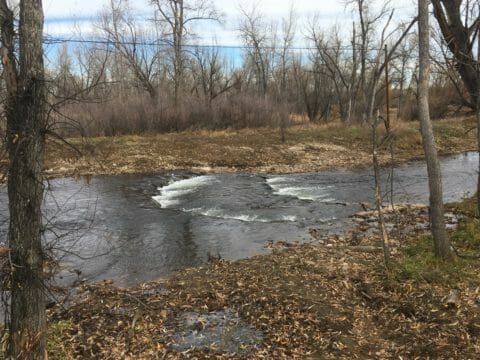 Projects | North State Enviromental