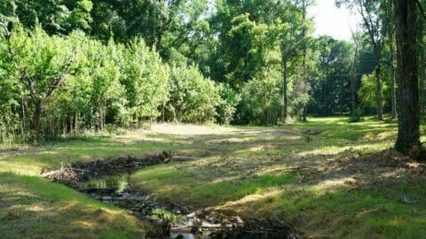 Projects | North State Enviromental