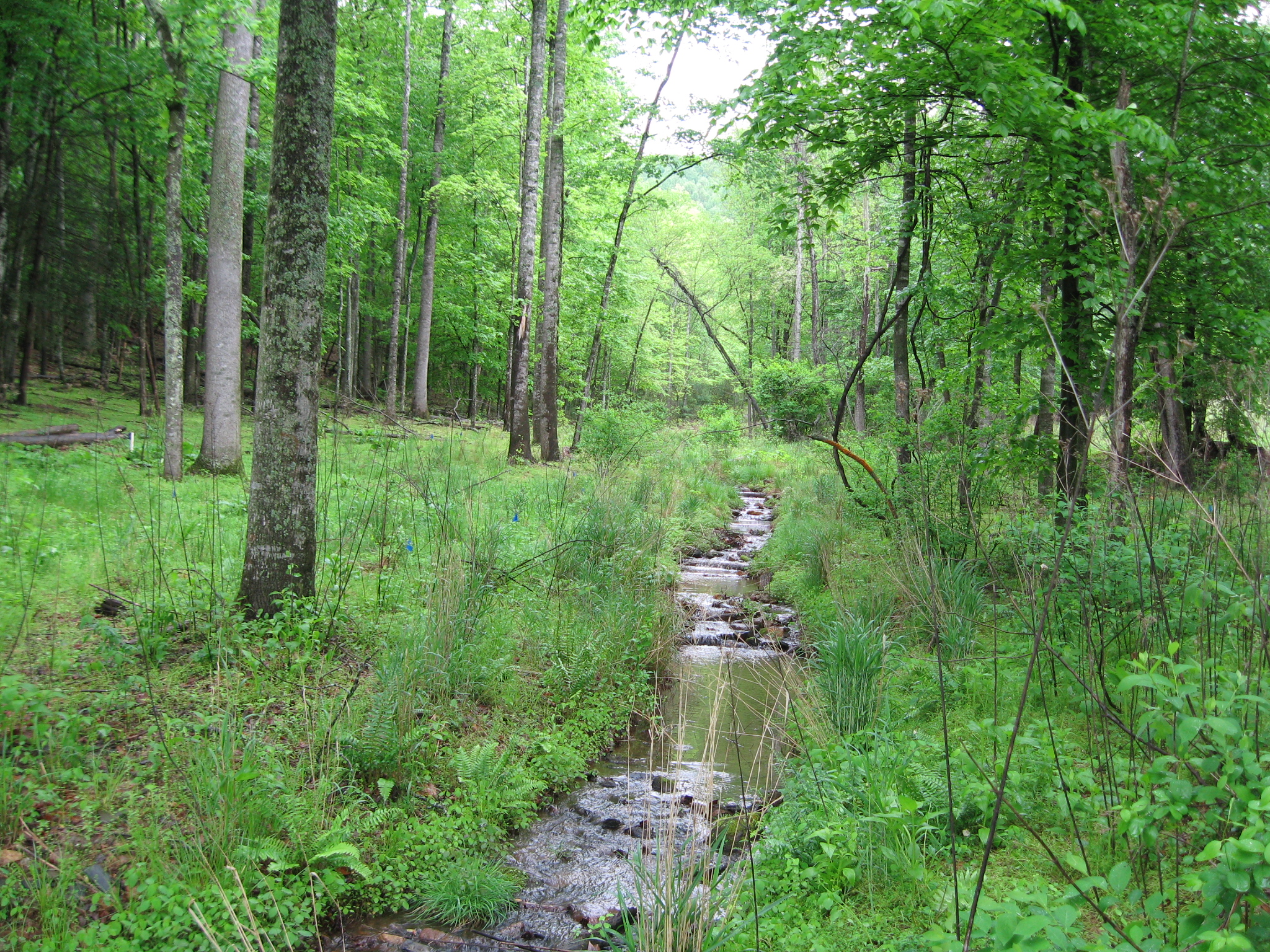 NEW Retention Basins | North State Enviromental