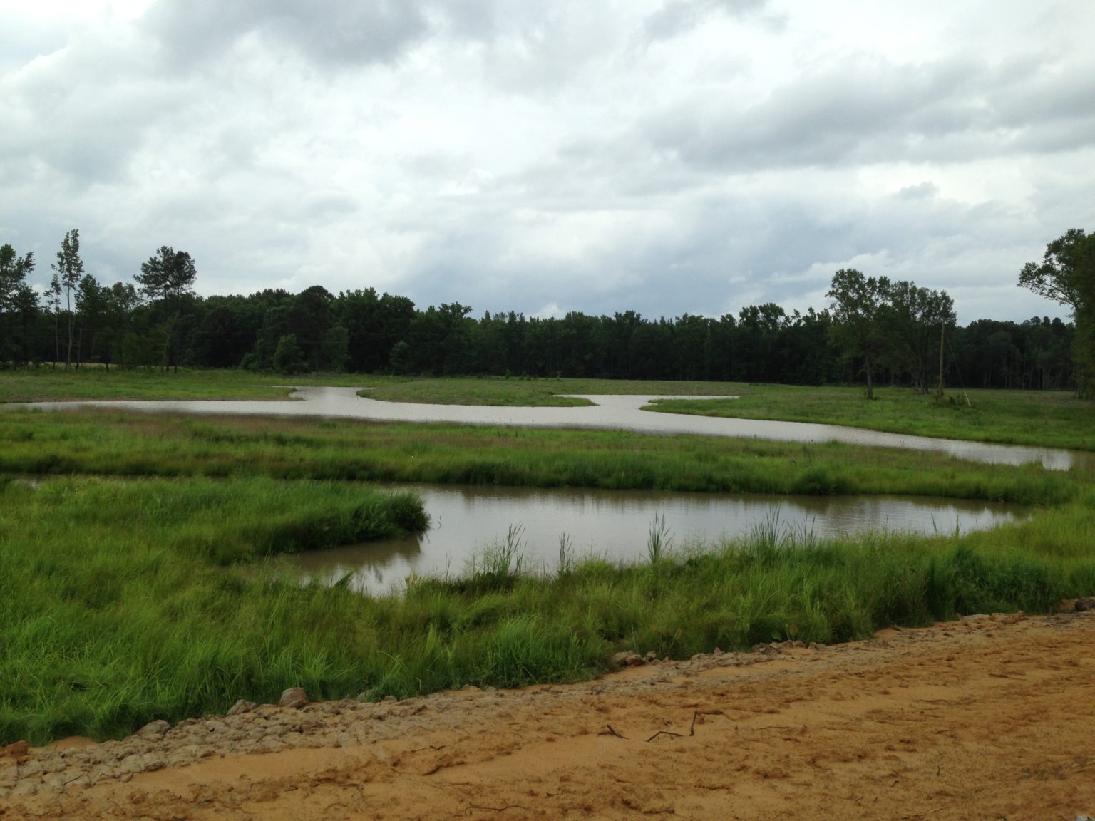 Wetland Restoration | North State Enviromental